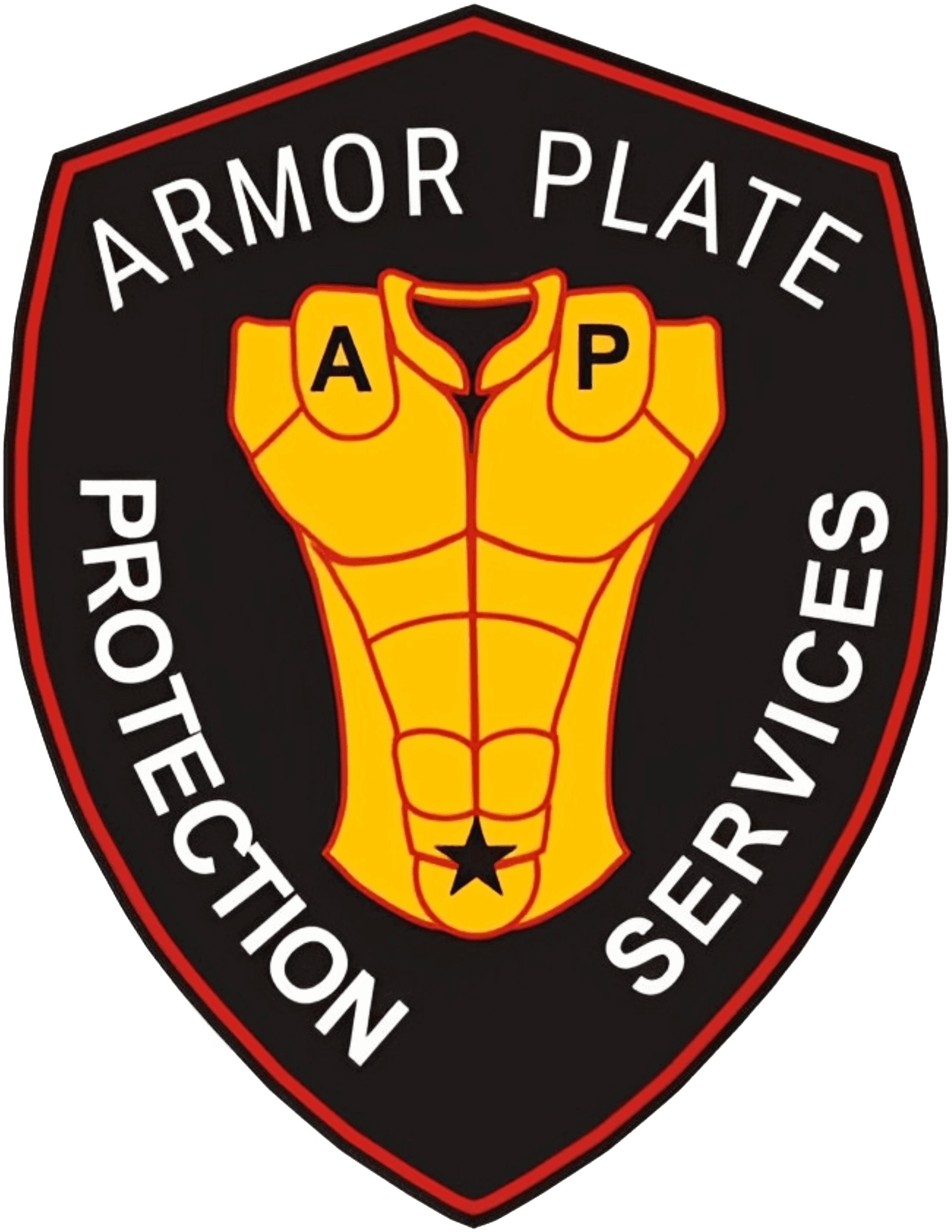Armor Plate Protection Services Offers Security Services in Houston, TX ...