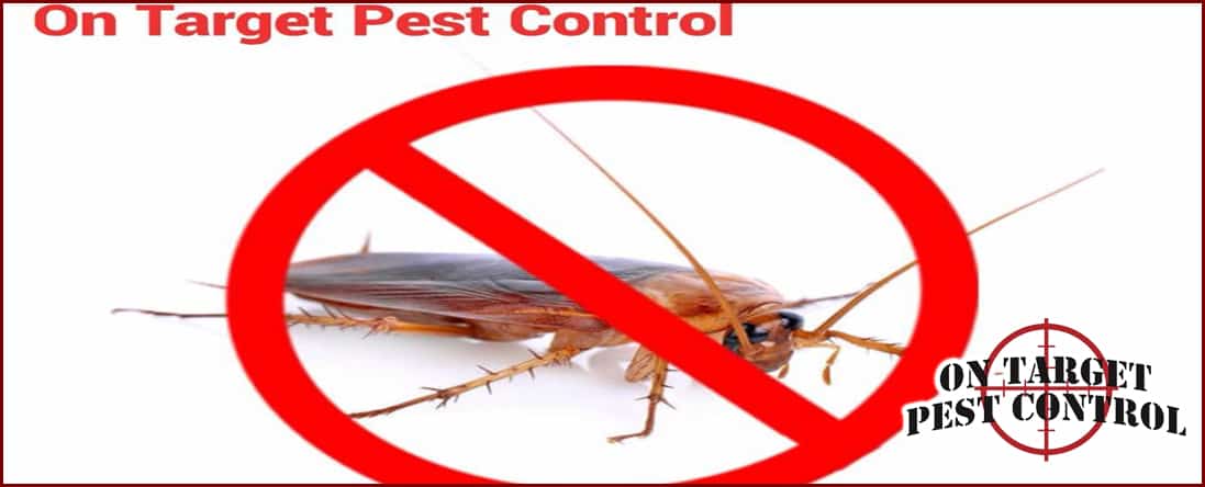 On Target Pest Control Offers Insect Control Services in Kenosha, WI 53144