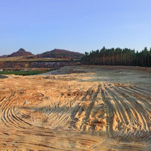 Land Clearing | M.S Castillo Tree Service in Santa Ana, CA 92701