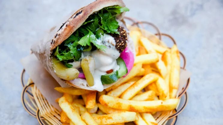 Aladdin's Hut - Tampa's Best Halal Gyro Serves Halal Food in Tampa, FL ...