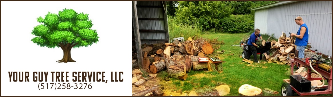 Your Guy Tree Service, LLC is a Tree Removal Company in Fremont, IN