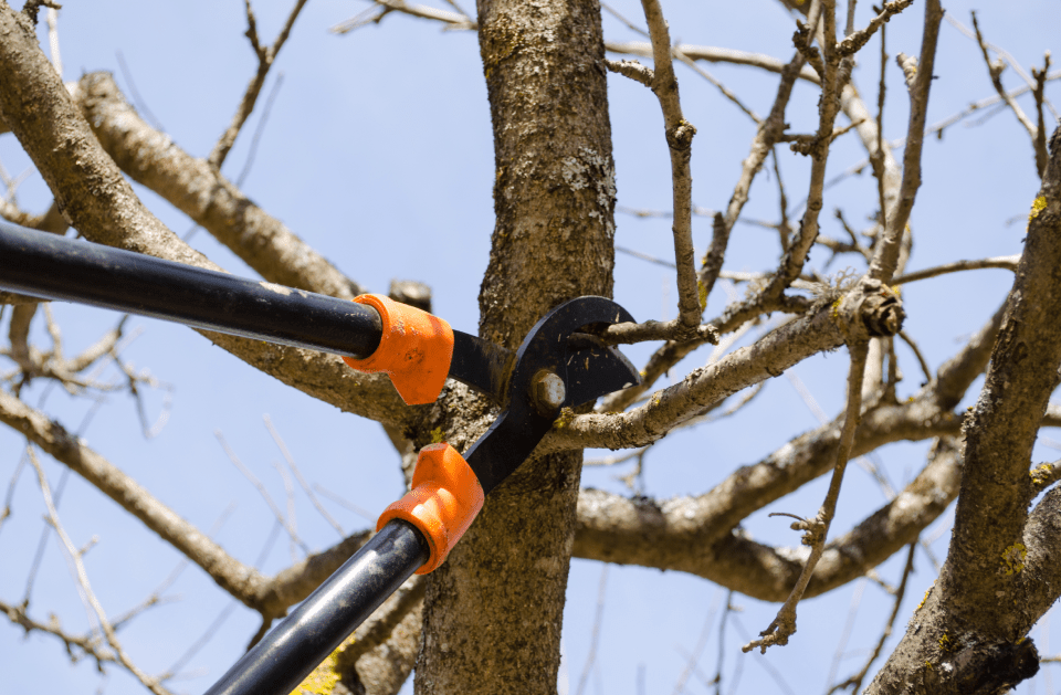 AIC Lawncare - Flower Planting - Columbus, OH 43204