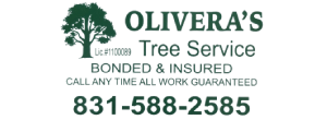 Olivera's Tree Service - Tree Service - Aromas, CA 95004