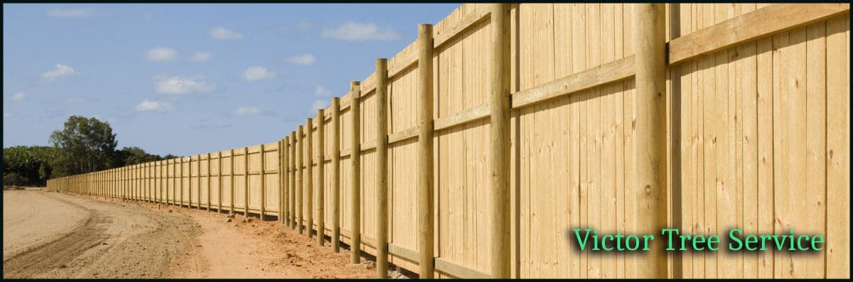 Victor Tree Service is a Tree Company in East Palo Alto, CA 94303