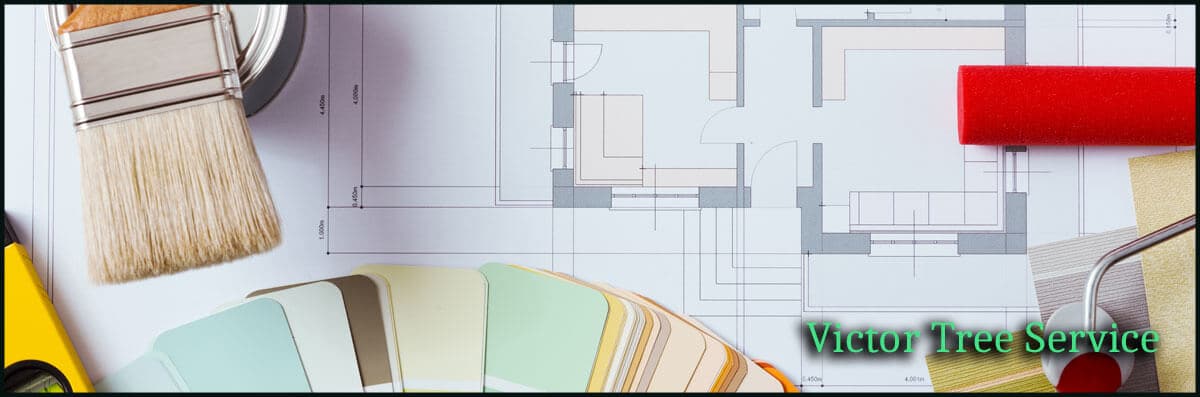 Victor Tree Service is a Tree Company in East Palo Alto, CA 94303