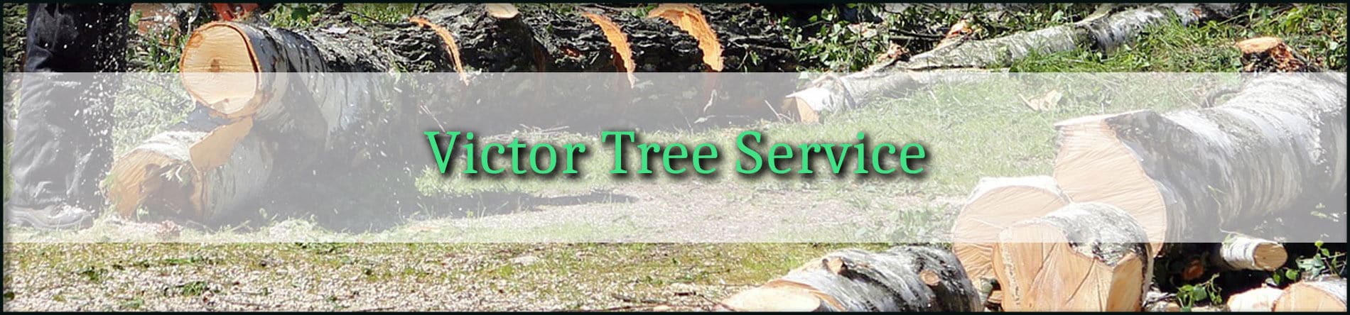 Victor Tree Service is a Tree Company in East Palo Alto, CA 94303