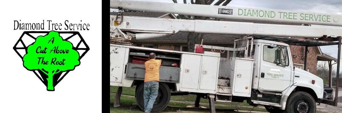 Diamond Tree Service is a Tree Removal Company in Decatur, AL