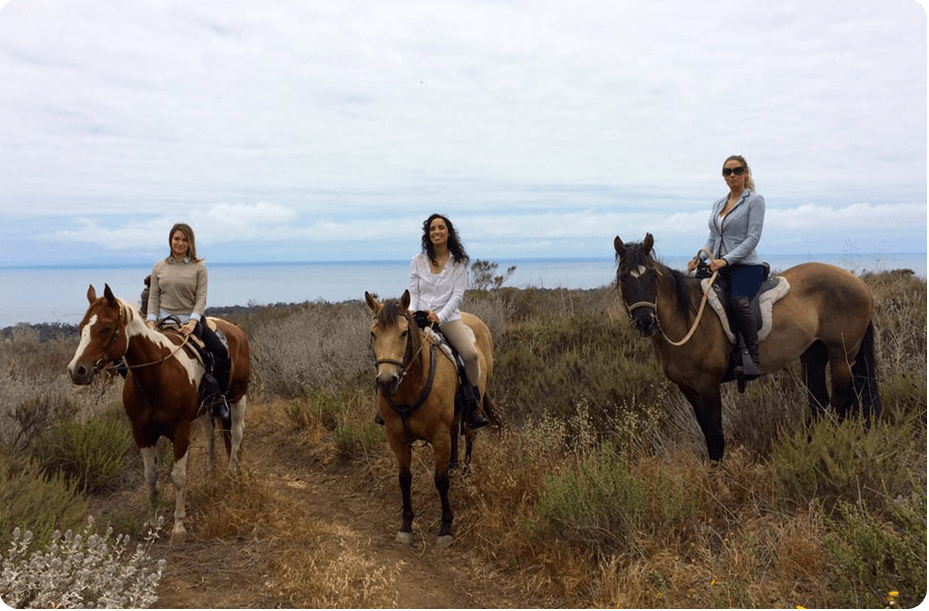 Connemara Ranch is a Horse Ranch in Malibu, CA 90265