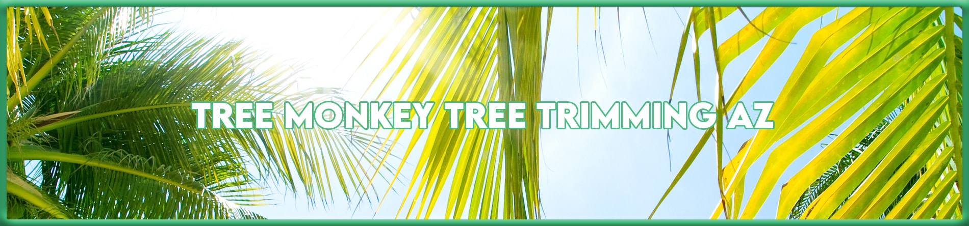 Tree Monkey Tree Trimming AZ is a Professional Tree Service Company in ...