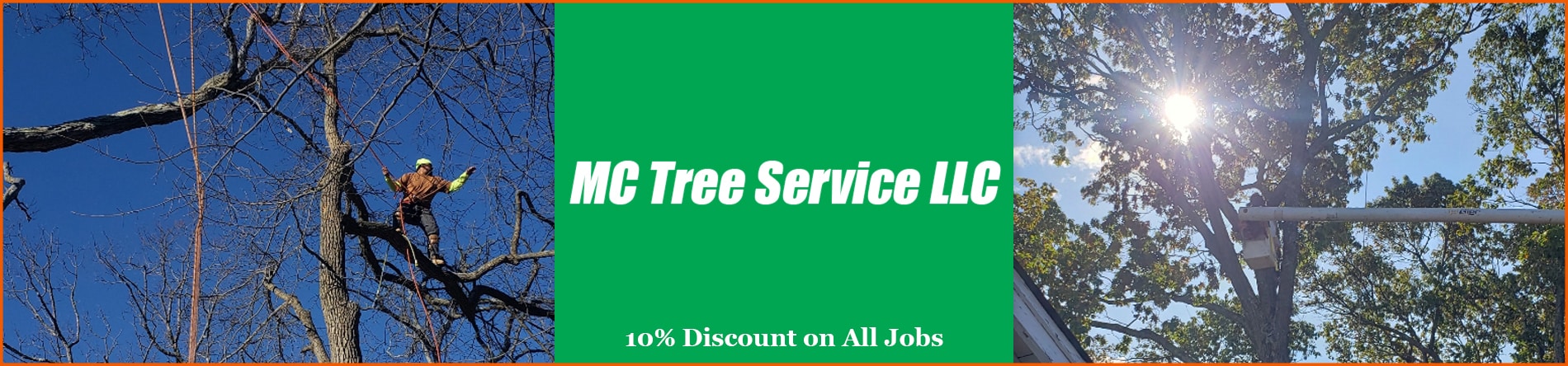 MC Tree Service LLC Offers Tree Services in Lakewood, NJ