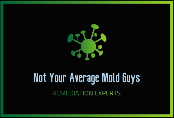 Not Your Average Mold Guys is a Mold Inspector in Bolingbrook, IL 60440