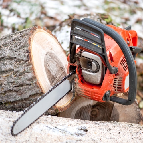 Boni Tree Service & Stump Grinding is a Tree Company in Dickinson, TX 77539